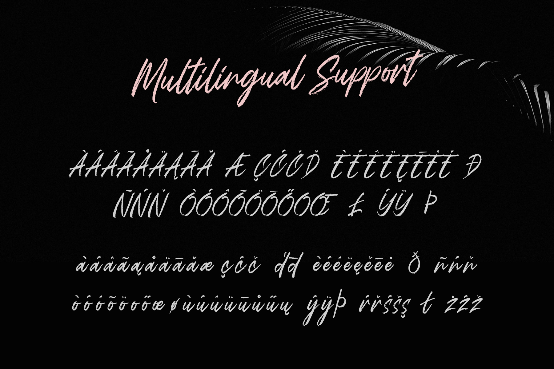 Shoufa, Fonts | GraphicRiver